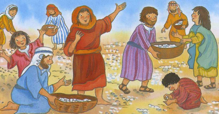 I Don’t Eat Manna or Bread. Here’s Why. | Choices Do Matter